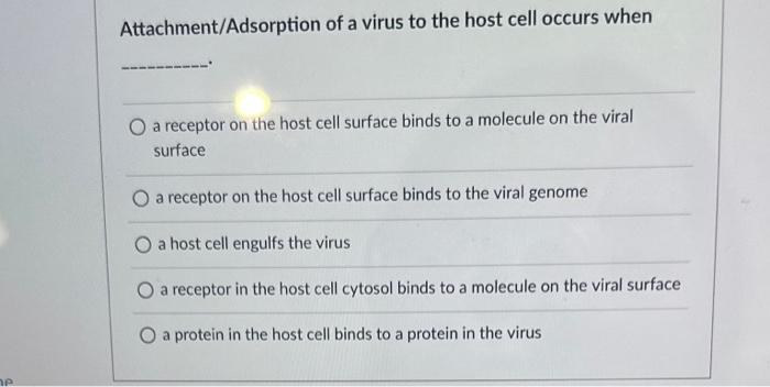 Solved Attachment/Adsorption of a virus to the host cell | Chegg.com