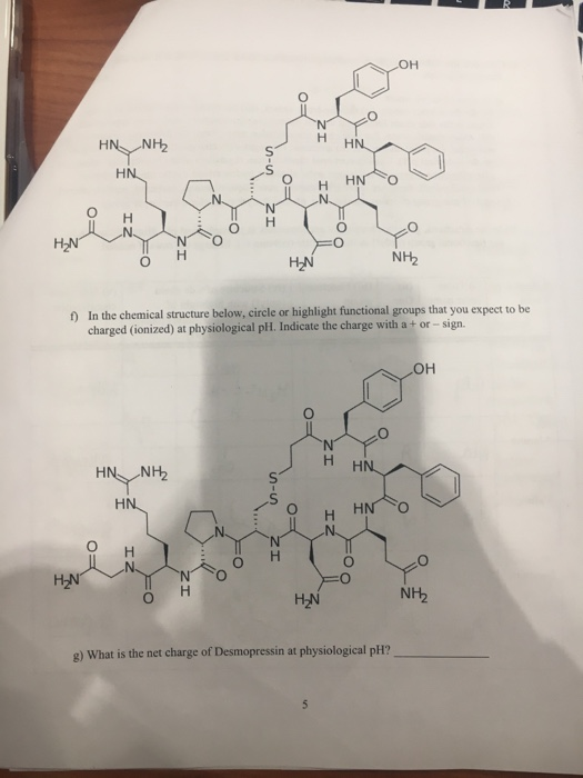 0 HNN2 HN HON 0 H HN NHL 1) In the chemical structure | Chegg.com