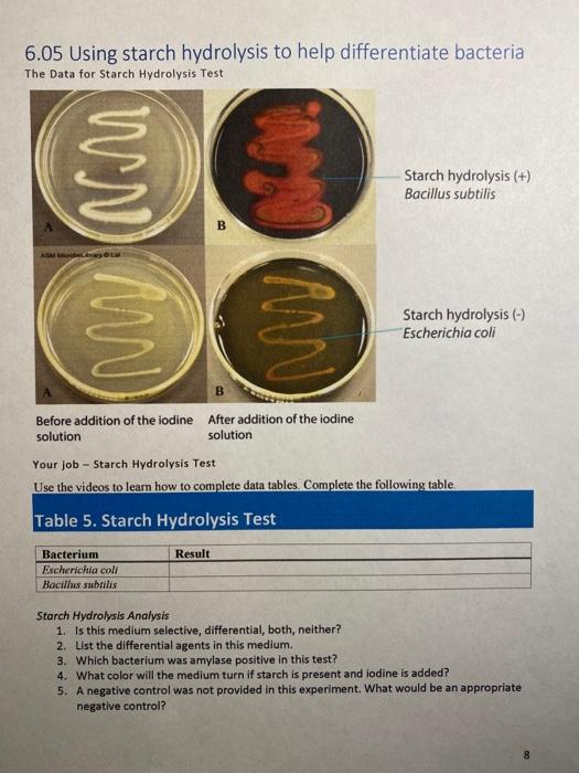 Solved 6.05 Using starch hydrolysis to help differentiate | Chegg.com