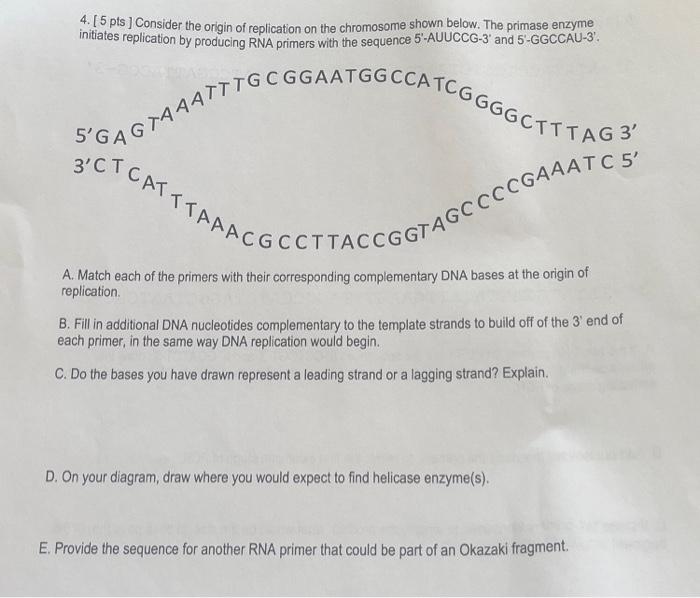 Solved 4. [ 5 pts ] Consider the origin of replication on | Chegg.com
