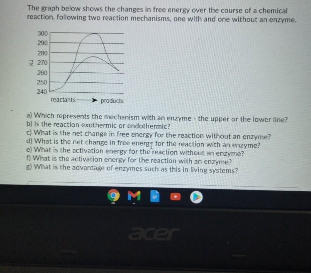 Solved The graph below shows the changes in free energy over | Chegg.com
