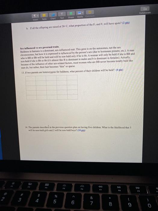 Solved Insert Table Chart Text Shape Media Comment | Chegg.com