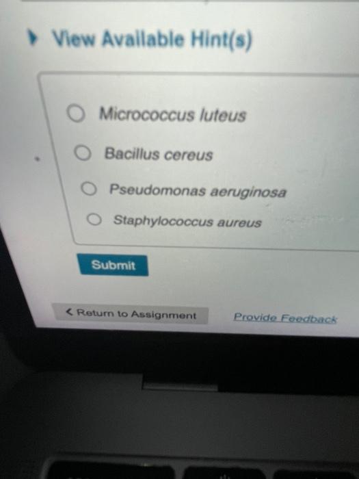 Solved MicroLab Tutor: Identification of Unknown Bacteria | Chegg.com