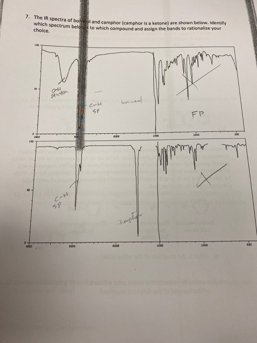 Solved 7. The IR spectra of borneol and camphor spectra of | Chegg.com