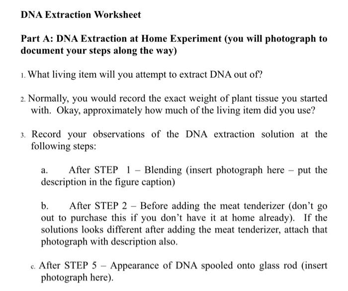Solved DNA Extraction Worksheet Part A: DNA Extraction at | Chegg.com