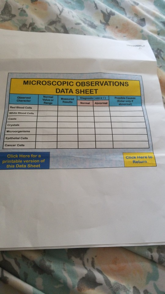 MICROSCOPIC OBSERVATIONS DATA SHEET Observed | Chegg.com
