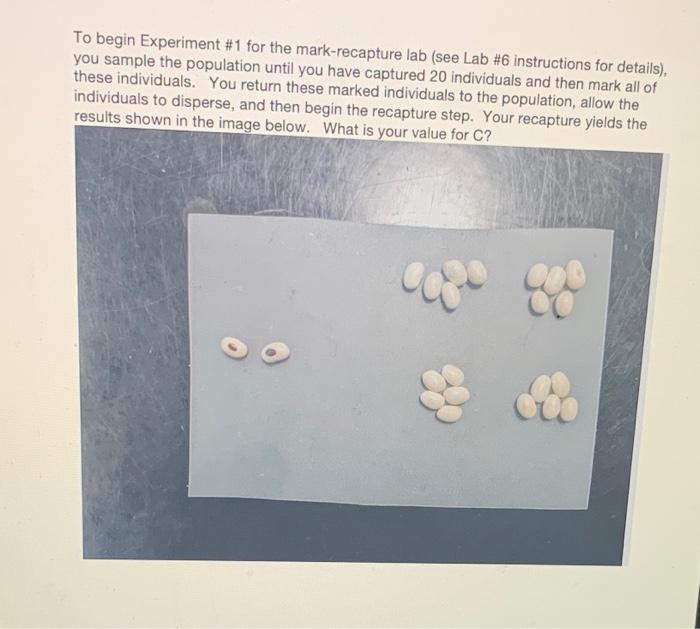 Solved To Begin Experiment 1 For The Mark Recapture Lab