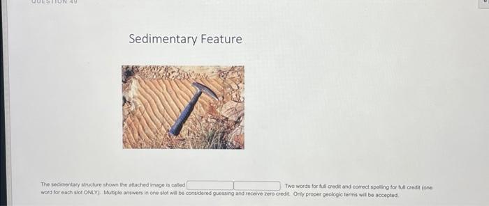 Solved Sedimentary Feature The sedimentary structure shown | Chegg.com