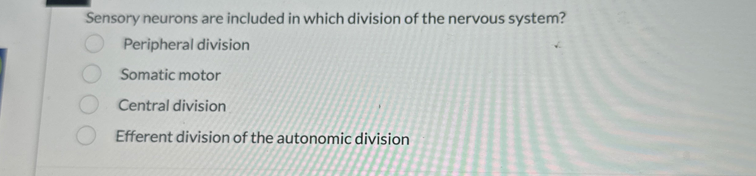 Solved Sensory neurons are included in which division of the | Chegg.com