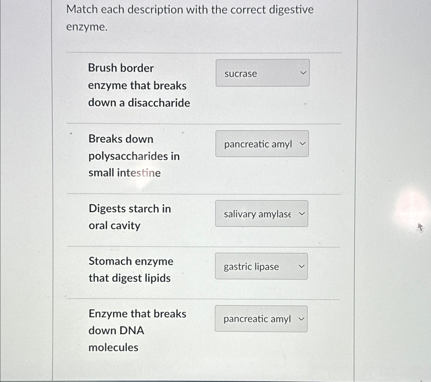 Solved Match each description with the correct digestive | Chegg.com