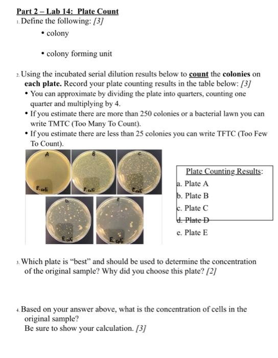 Solved Part 2-Lab 14: Plate Count 1. Define the following: | Chegg.com