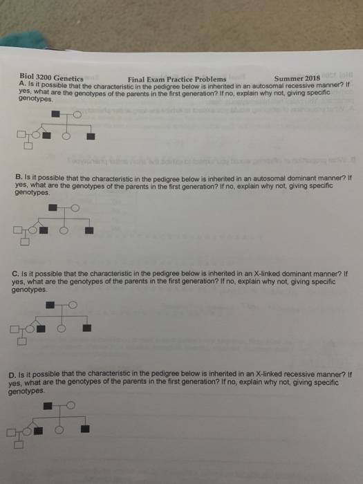 Summer 2018 Biol 3200 Genetics Final Exam Practice | Chegg.com