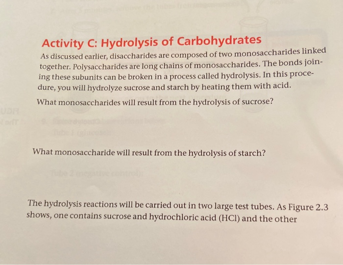 Solved Activity C: Hydrolysis of Carbohydrates As discussed | Chegg.com