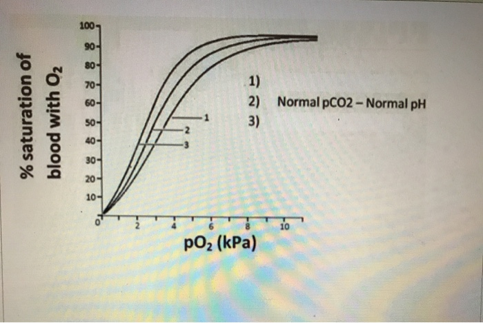 Solved 100 90- 80- 70- 1) 60- 2) Normal pCO2 - Normal pH % | Chegg.com