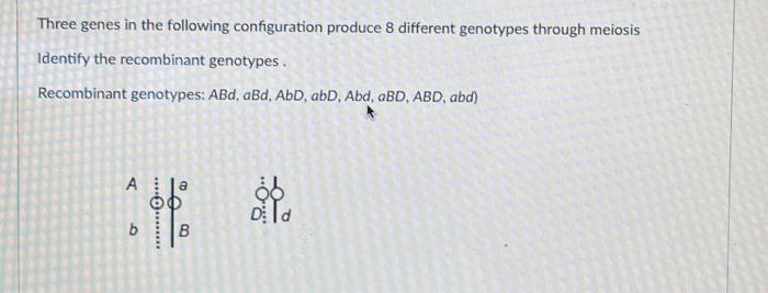 Solved Three genes in the following configuration produce 8 | Chegg.com