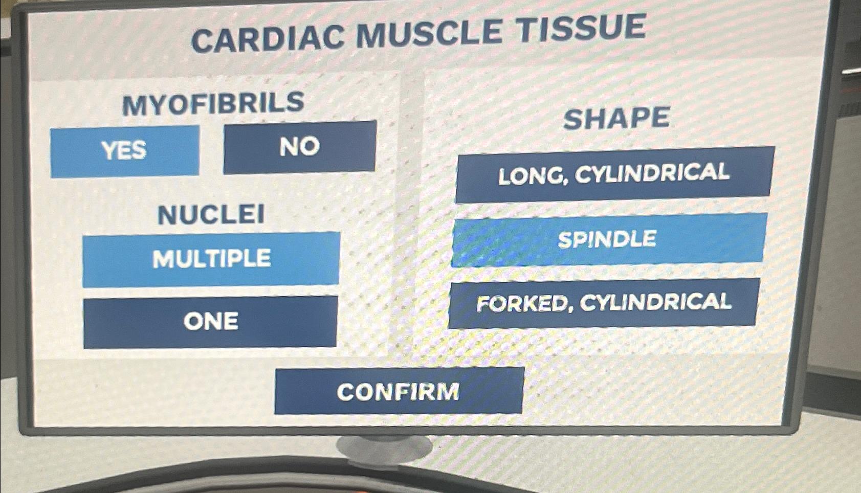 Solved CARDIAC MUSCLE TISSUEMYOFIBRILSYES NOSHAPELONG, | Chegg.com