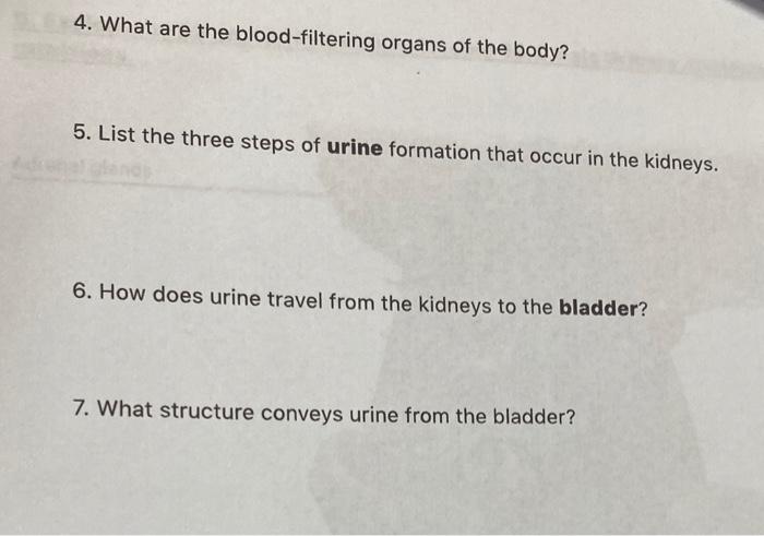 Solved 4. What are the blood-filtering organs of the body? | Chegg.com