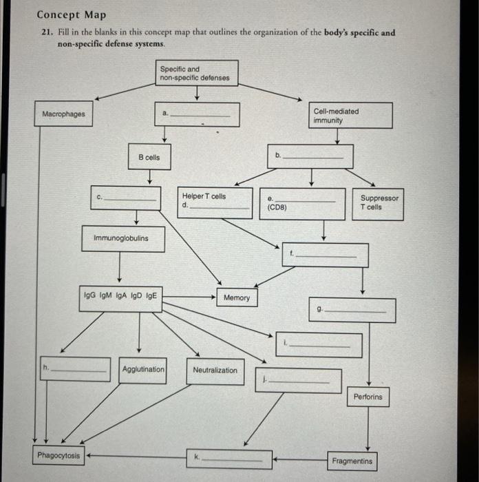 Solved Concept Map 21. Fill in the blanks in this concent | Chegg.com