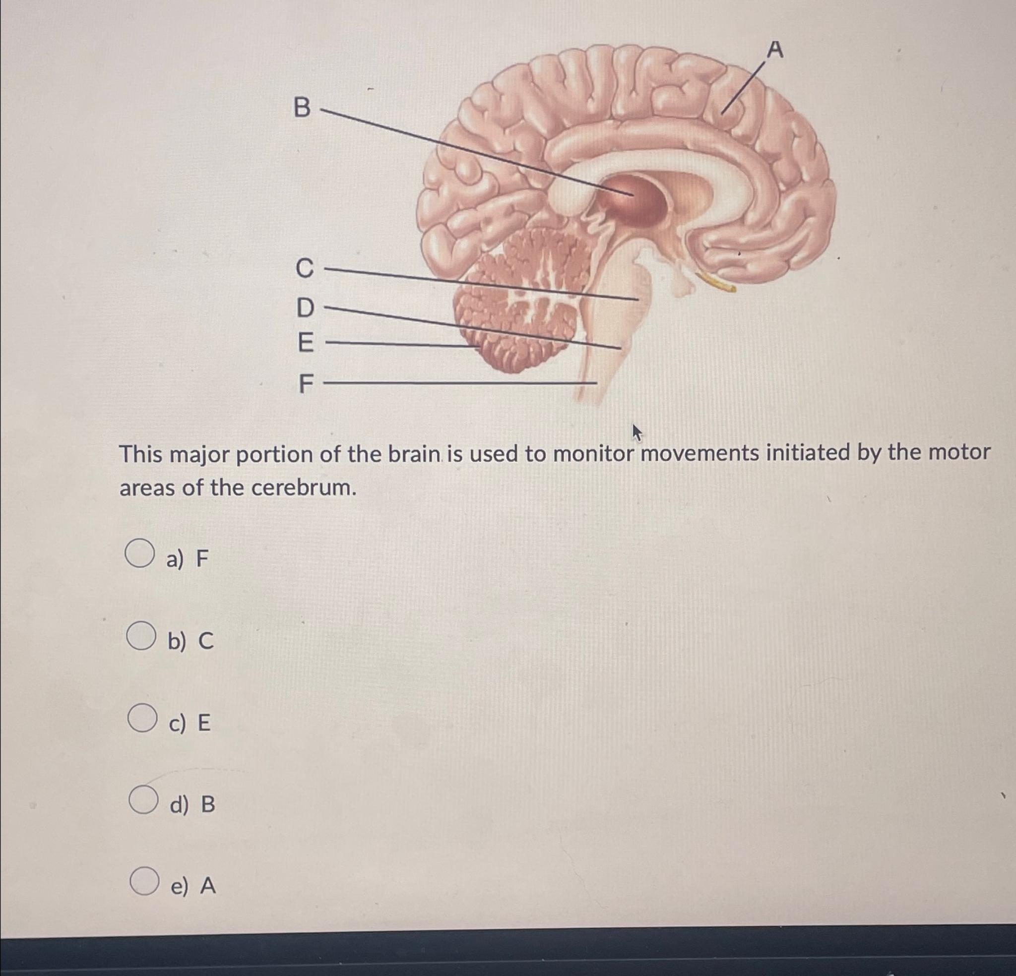 Solved This major portion of the brain is used to monitor | Chegg.com