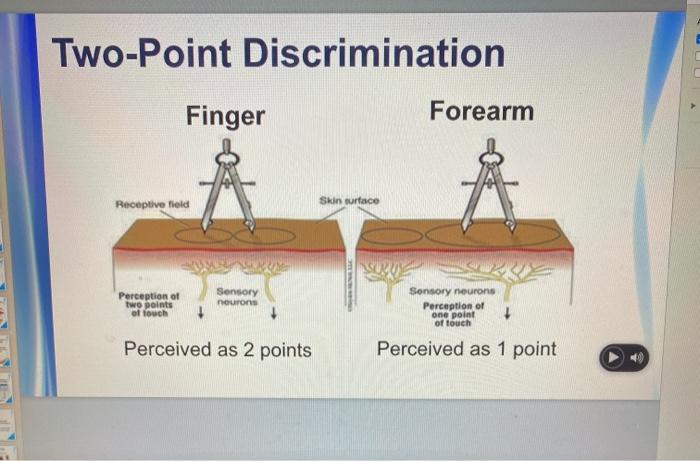 Solved . Lab 3 - Homework Assignment - Two-point | Chegg.com