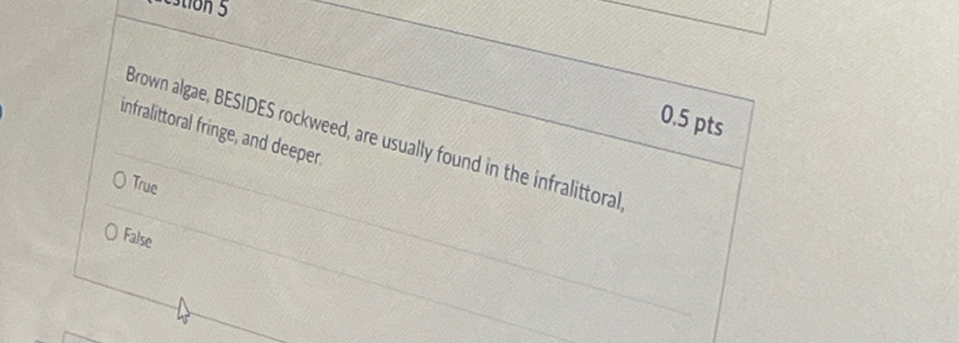 Solved Brown algae, BESIDES rockweed, are usually found in | Chegg.com