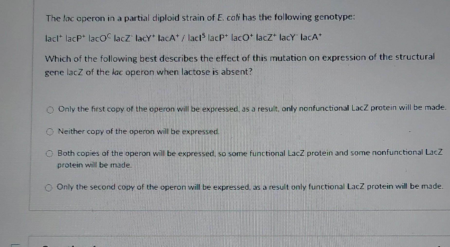 Solved The lac operon in a strain of E. coli has the | Chegg.com