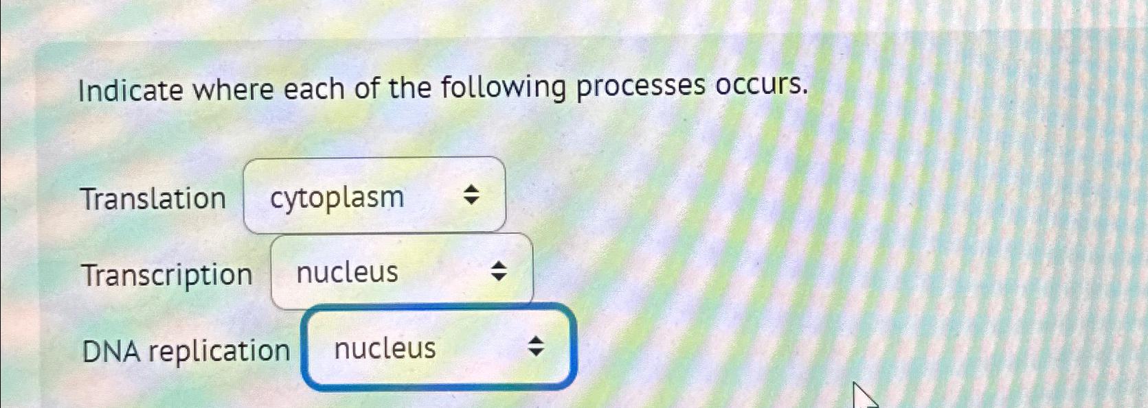 Solved Indicate where each of the following processes | Chegg.com
