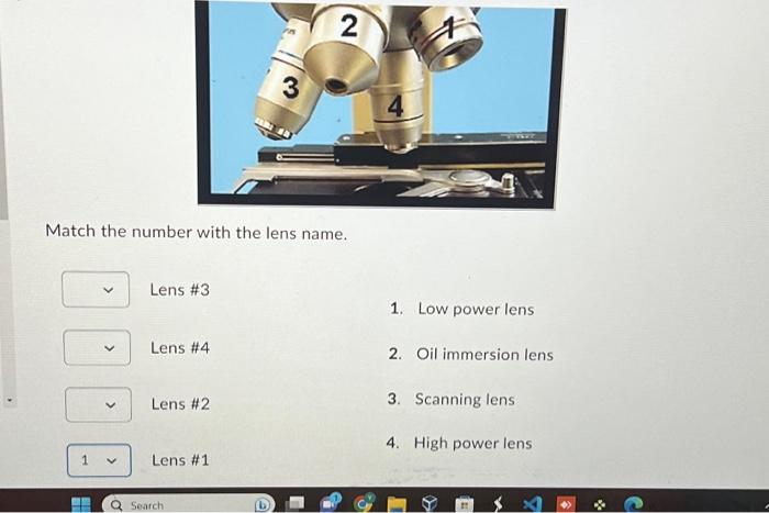 1 Match the number with the lens name. V v Lens #3 | Chegg.com