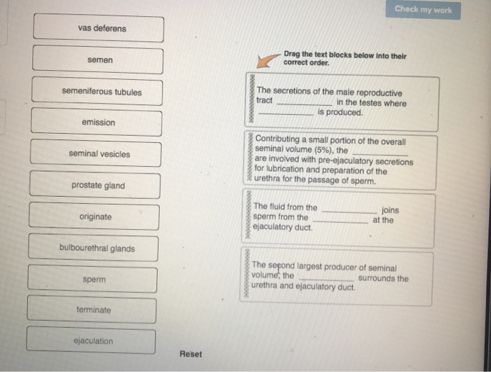 Solved Complete each of the following statements by dragging | Chegg.com Solved Complete each of the following statements by dragging | Chegg.com