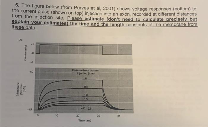 6. The figure below (from Purves et al, 2001) shows | Chegg.com