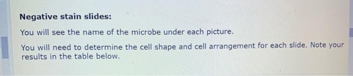 Solved Negative stain slides: You will see the name of the | Chegg.com
