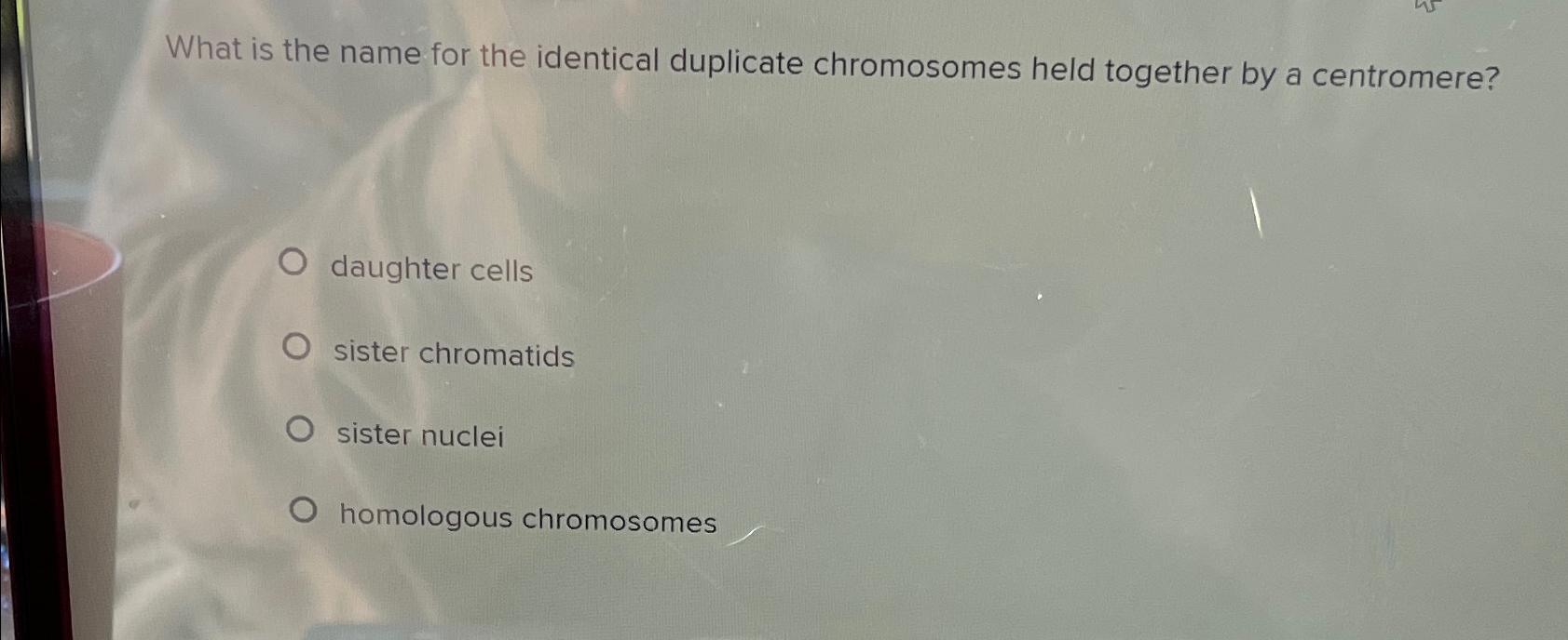 Solved What is the name for the identical duplicate | Chegg.com