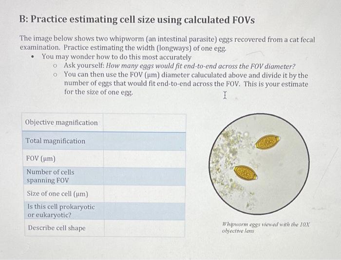 Solved Table 2. Field of view (FOV) diameter at three | Chegg.com