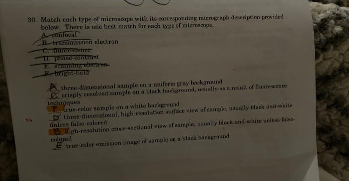 30. Match each type of microscope with its | Chegg.com