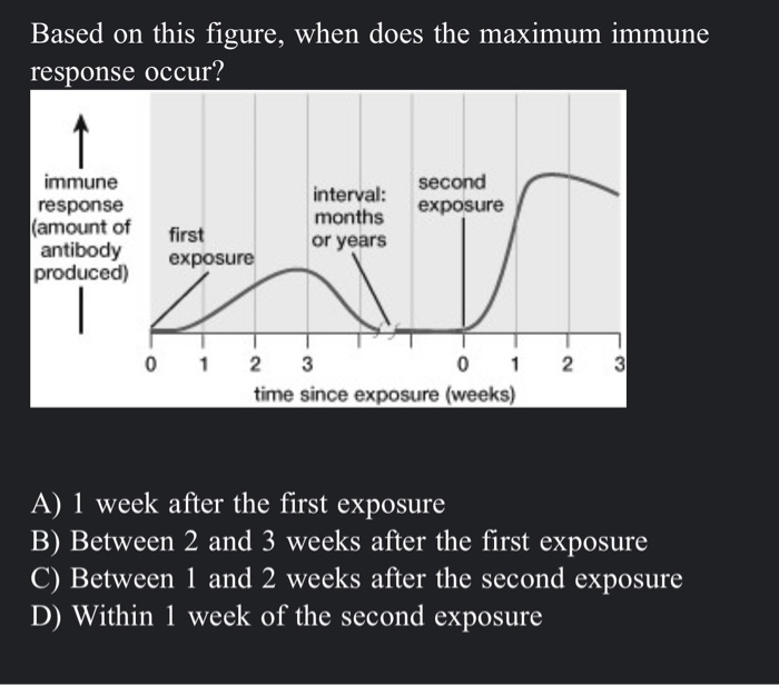 Solved Based on this figure, when does the maximum immune | Chegg.com