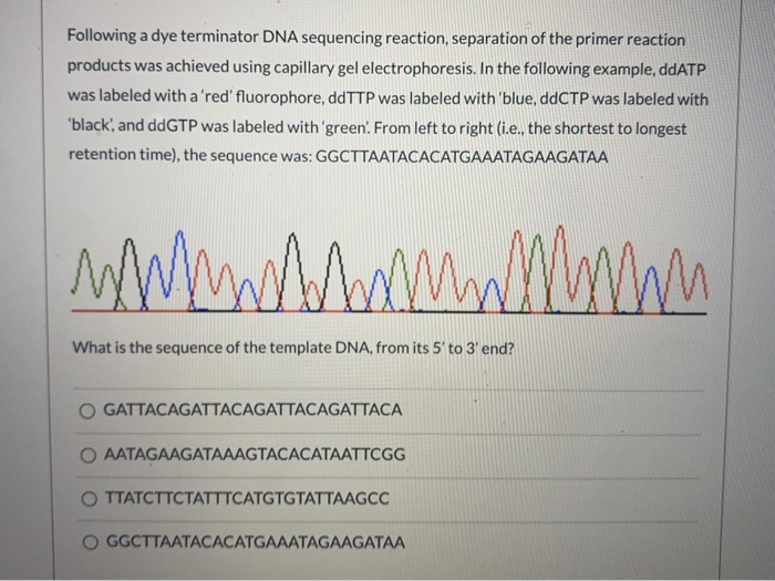 Solved Following a dye terminator DNA sequencing reaction, | Chegg.com