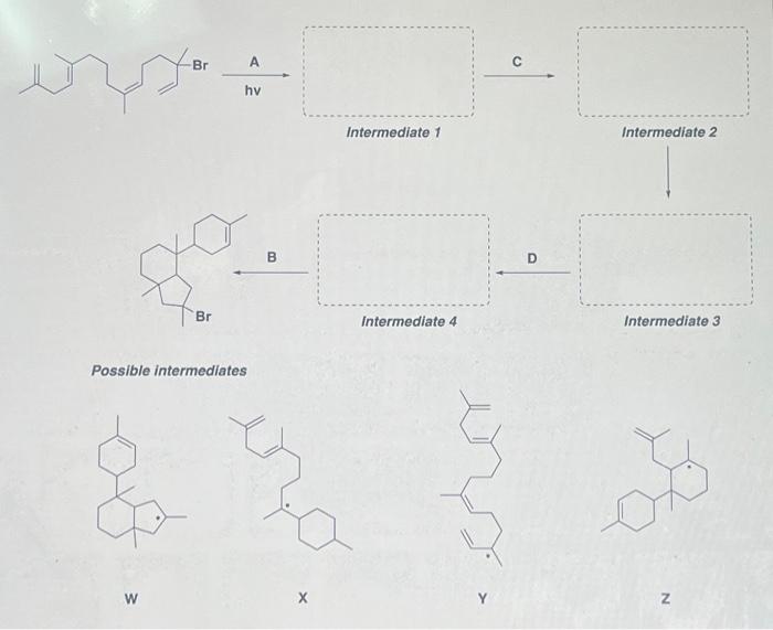 hvA Intermediate 1 Intermediate 2 Intermediate 3 | Chegg.com