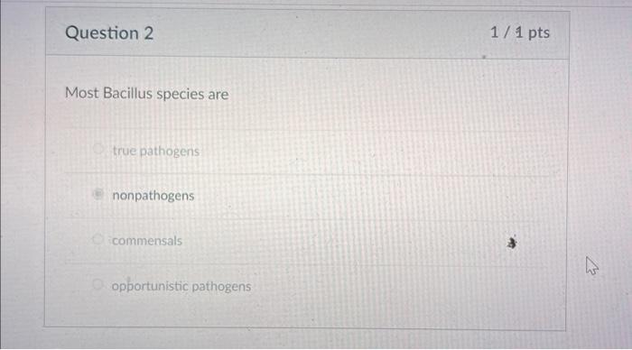 Solved i already have the correct answers, please provide an | Chegg.com