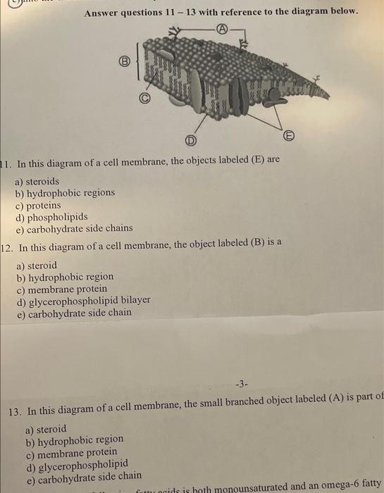 Solved Answer questions 11−13 with reference to the diagram | Chegg.com