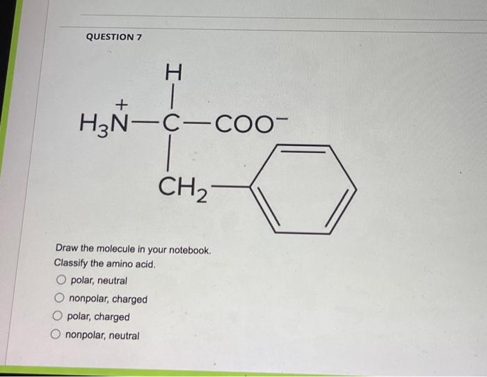 Solved QUESTION 7 I- + H3N-C-COO- CH2 Draw the molecule in | Chegg.com