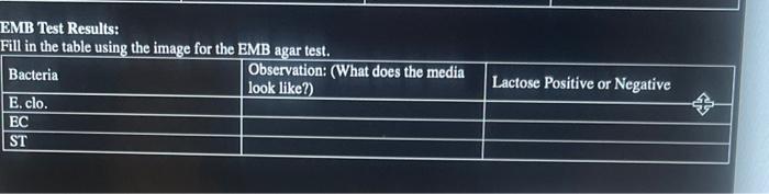 Solved EMB Test Results: Fill in the table using the image | Chegg.com