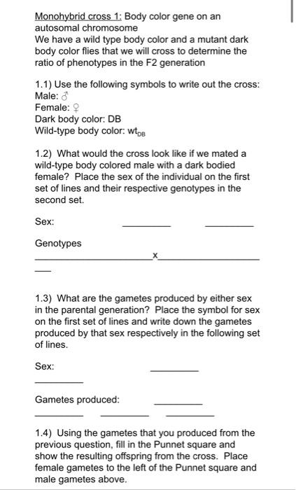 Solved Monohybrid cross 1; Body color gene on an autosomal | Chegg.com