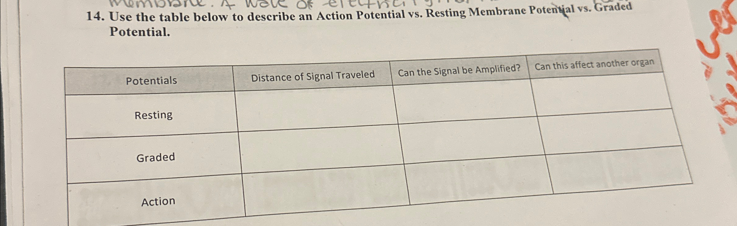 Solved Use the table below to describe an Action Potential | Chegg.com