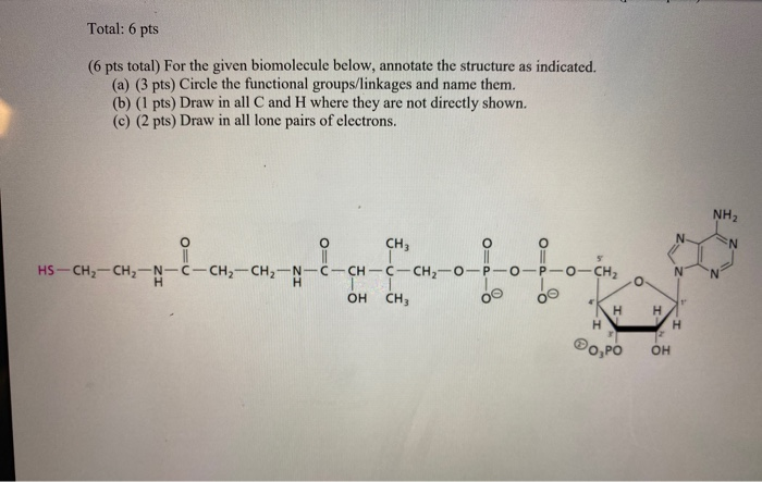 Solved Total: 6 pts (6 pts total) For the given biomolecule | Chegg.com