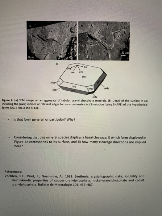 Figure 4. (a) SEM image on an aggregate of tabular | Chegg.com