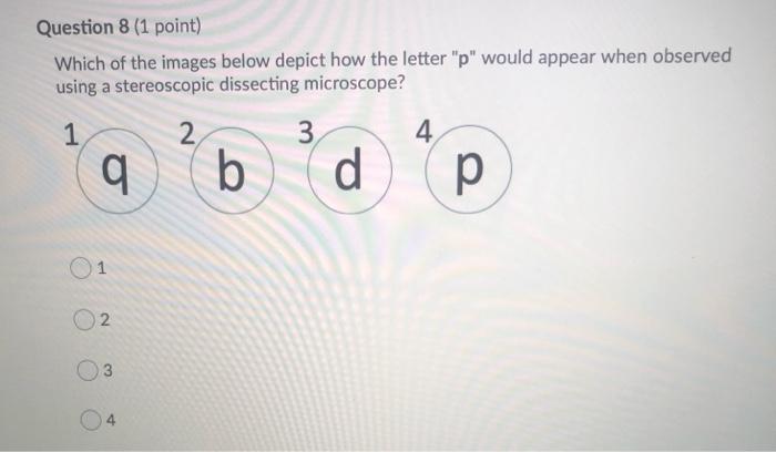 Solved Question 8 (1 point) Which of the images below depict | Chegg.com