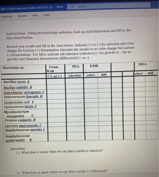 Solved MAC & MSA data sheet eiden edit (2)(1) (3) - Word | Chegg.com