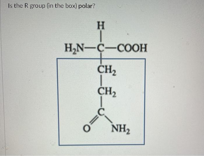 Solved Is the R group in the box) polar? H H2N-C-COOH CH2 1 | Chegg.com