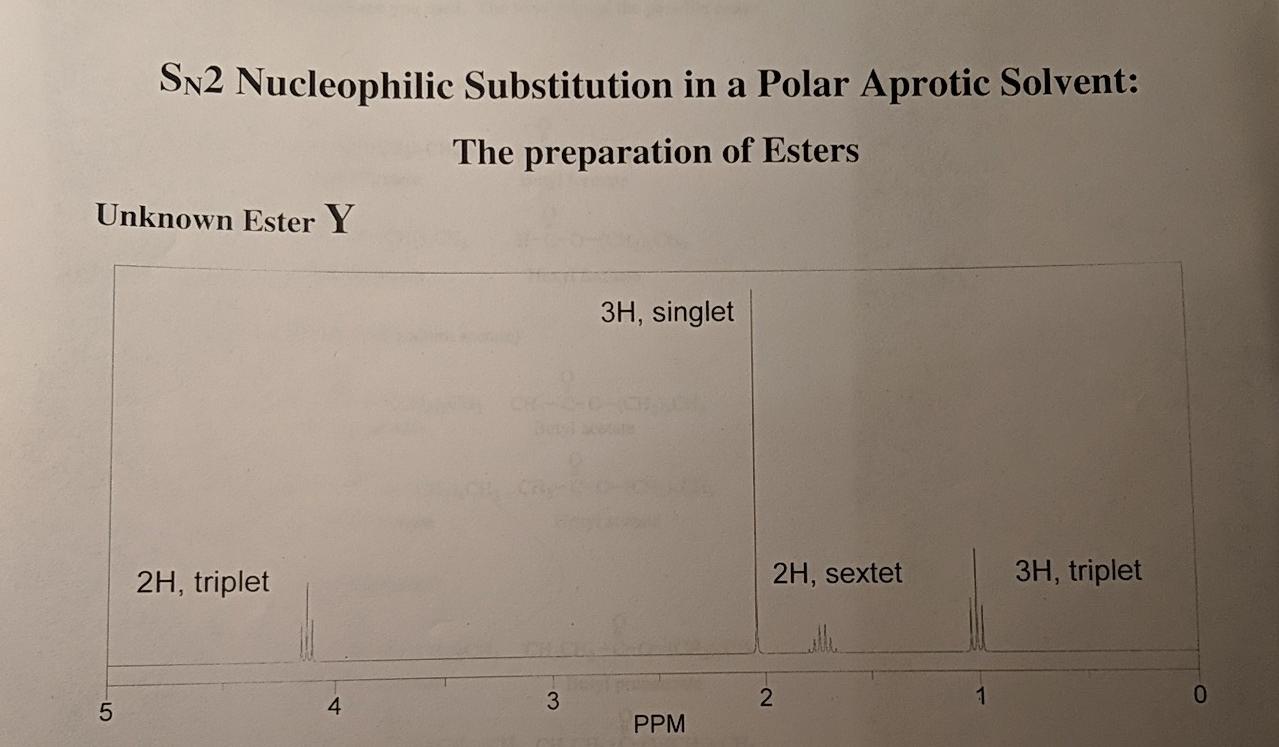 Solved Sn2 Nucleophilic Substitution in a Polar Aprotic | Chegg.com