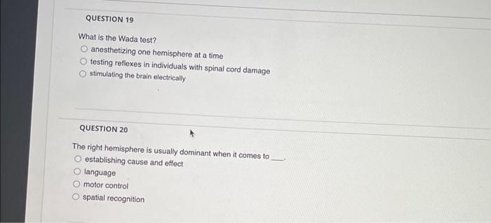 What is the Wada test? anesthetizing one hemisphere | Chegg.com